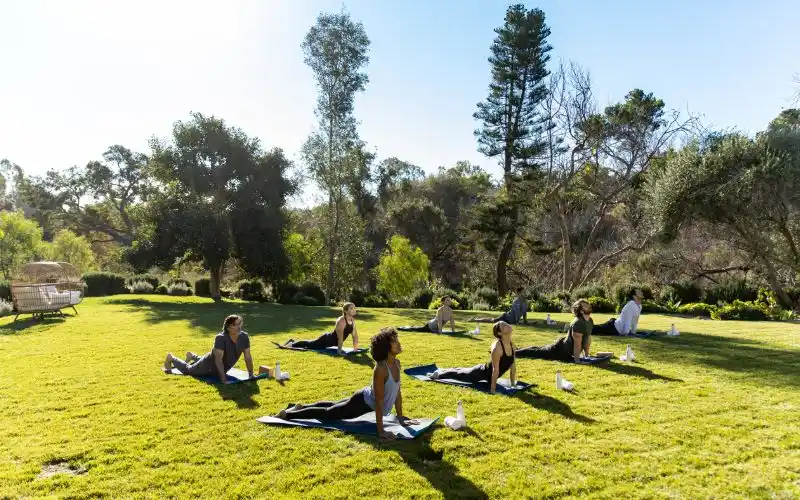 Cliffside Malibu: About, Staff, and Photos - Malibu, California | Rehabs In